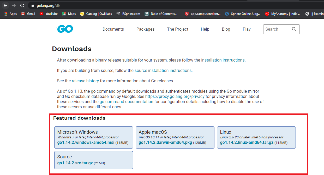 Getting Started with Go. Go is an open source programming… | by Shubham Singh | Medium