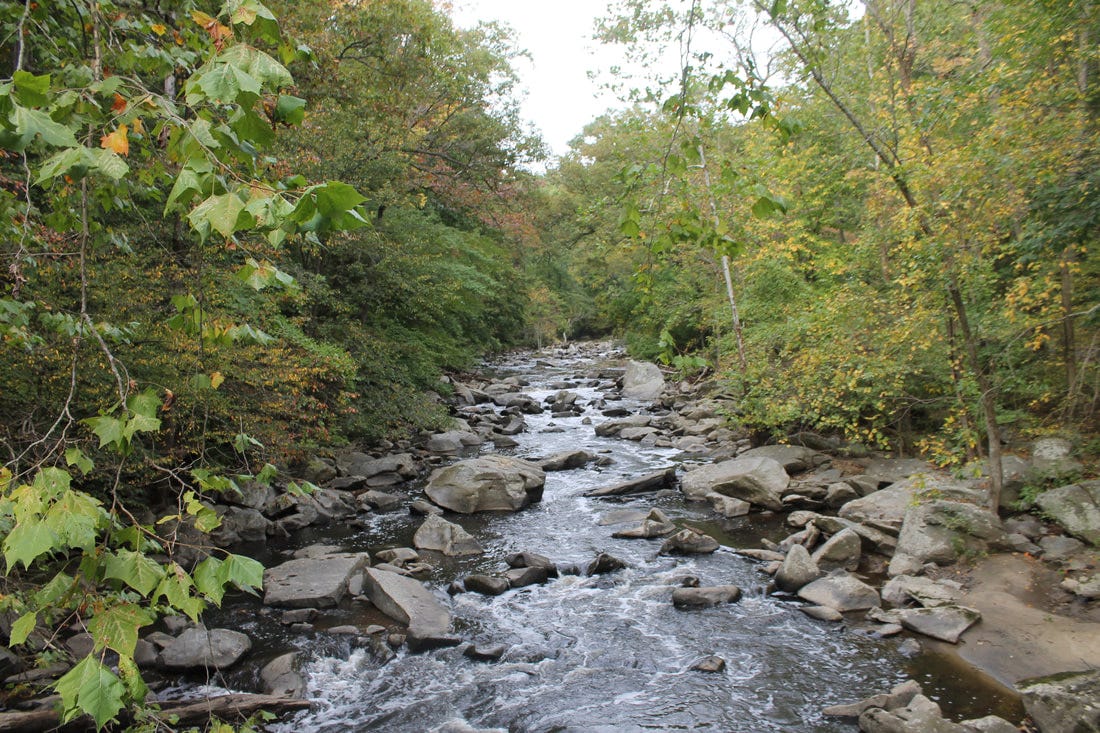 Top 5 in the Watershed: Five of My Favorite Places | by Rock Creek ...