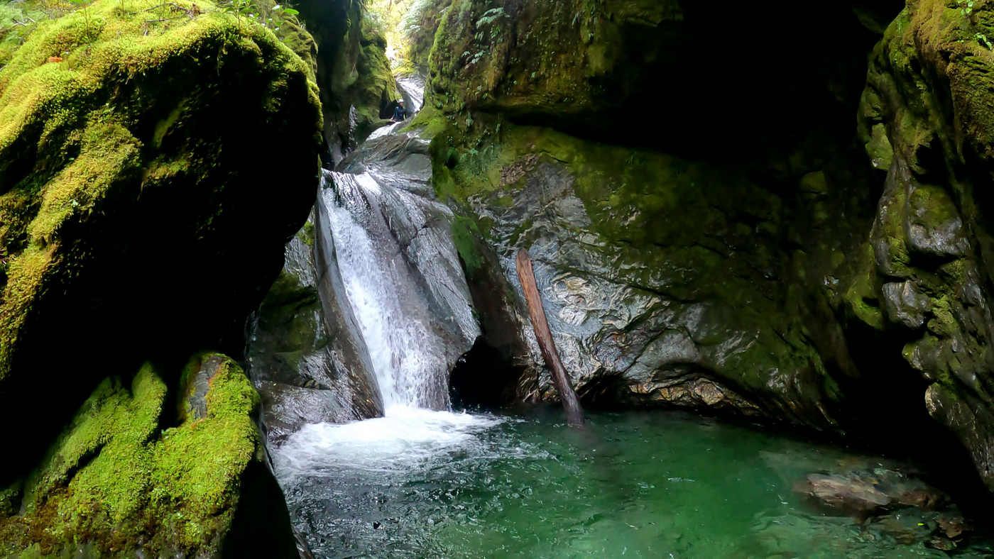 Most UNDERRATED Natural Feature of New Zealand | by Jesse St Louis | Medium