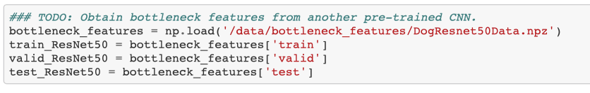 Classify dog breed using Convolutional Neural Network CNN. | by Eman KJ ...