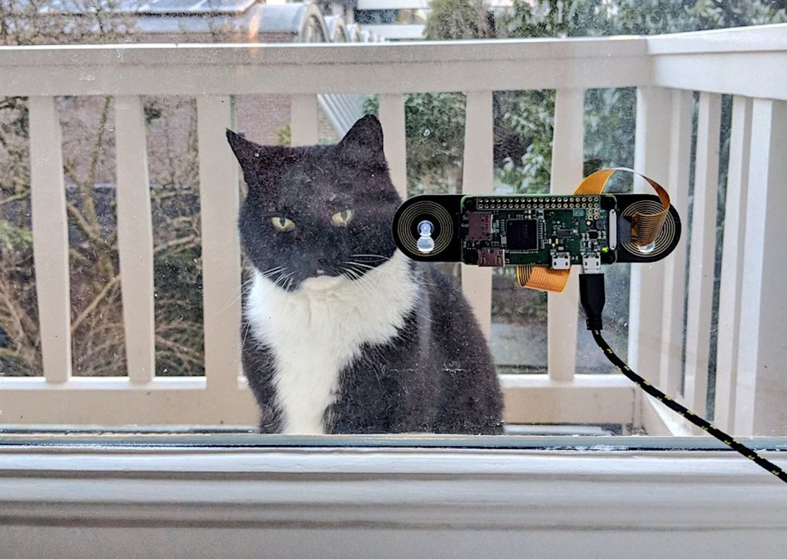 A Facial Recognition System… for Cats | by Hackster Staff | Medium