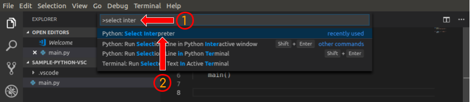 Visual Studio Code and Python Extension: For Beginners | by Saeed Izadi ...