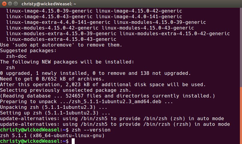 How To : Powerlevel9k Themes on Ubuntu | by Christy Jacob | Medium