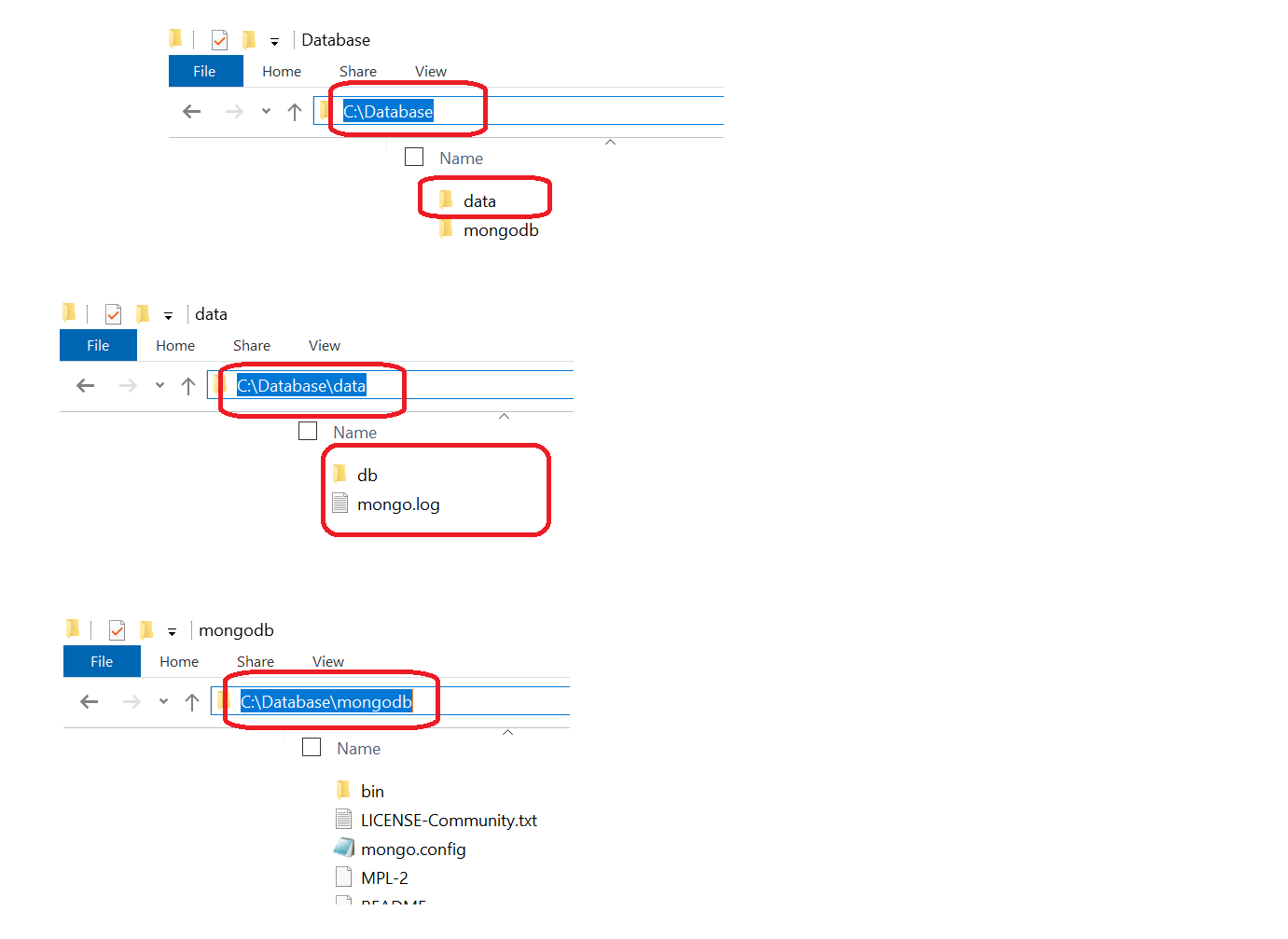 How to create your basic working CRUD application using Node Mongo and ...