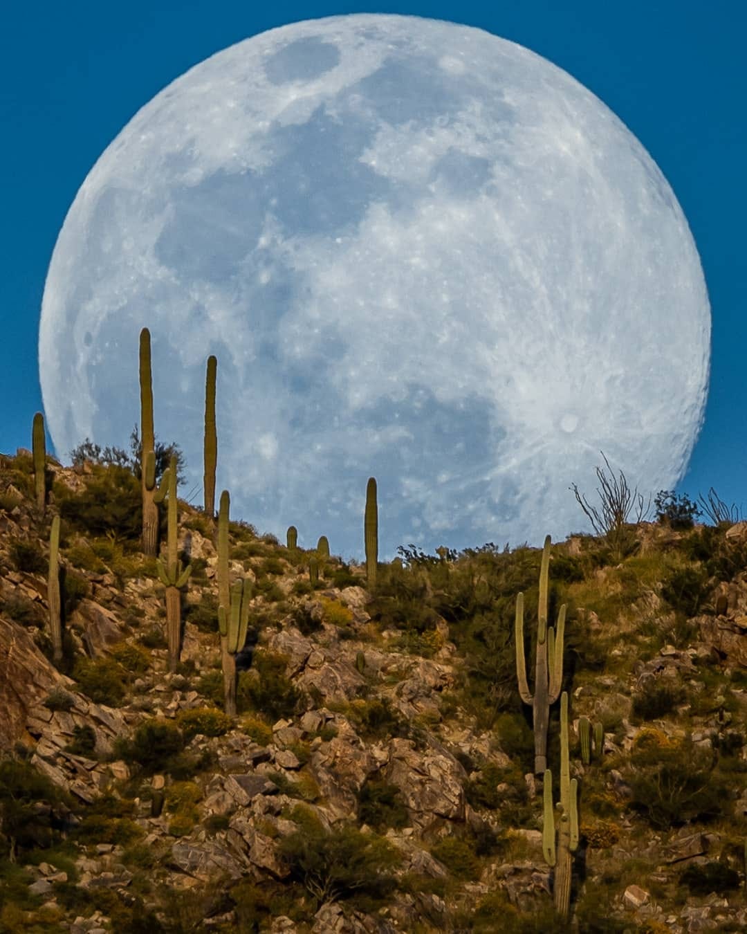 Let’s Look at These Utterly Glorious Photos of the Moon | by Jack ...