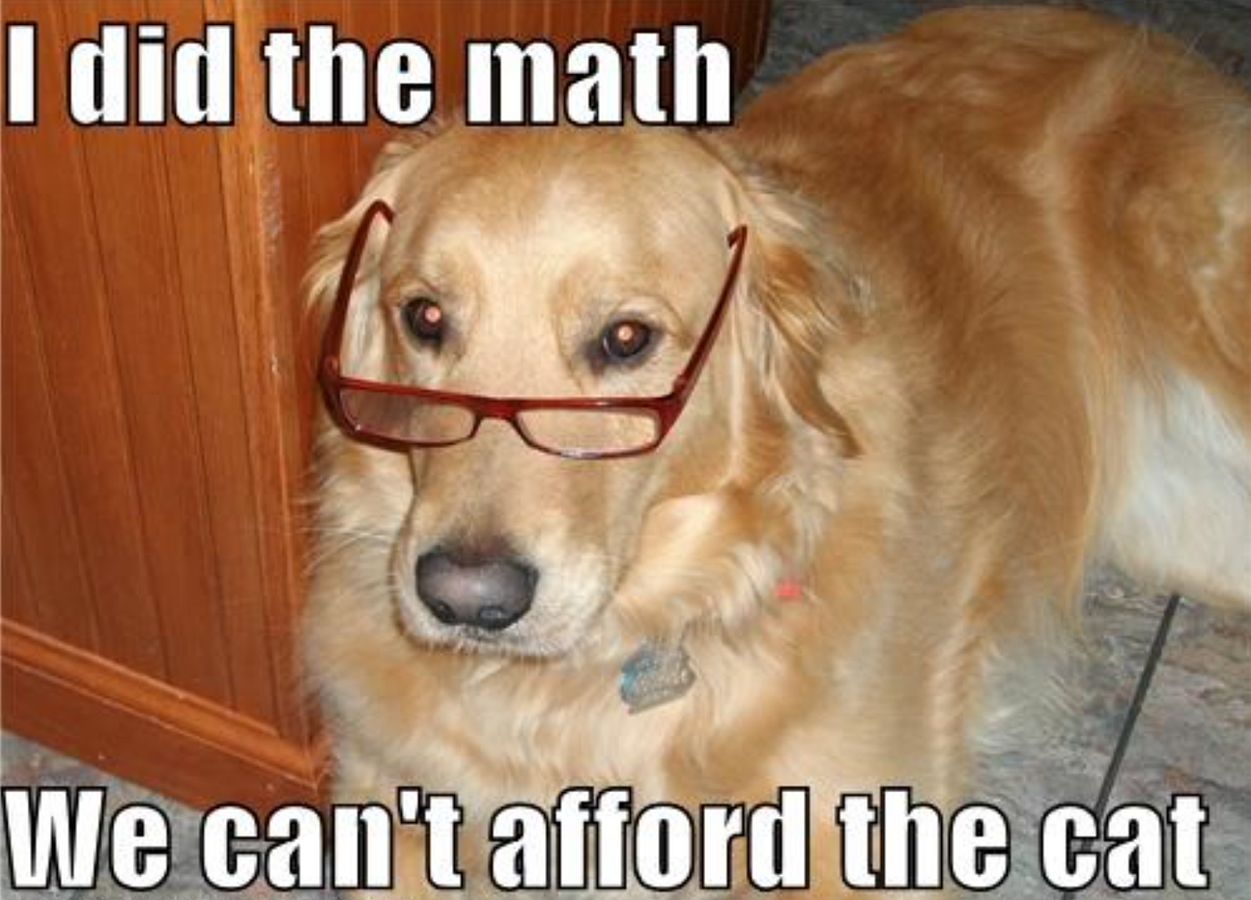 R-squared explained, intuitively. R-squared is one of the terms you ...