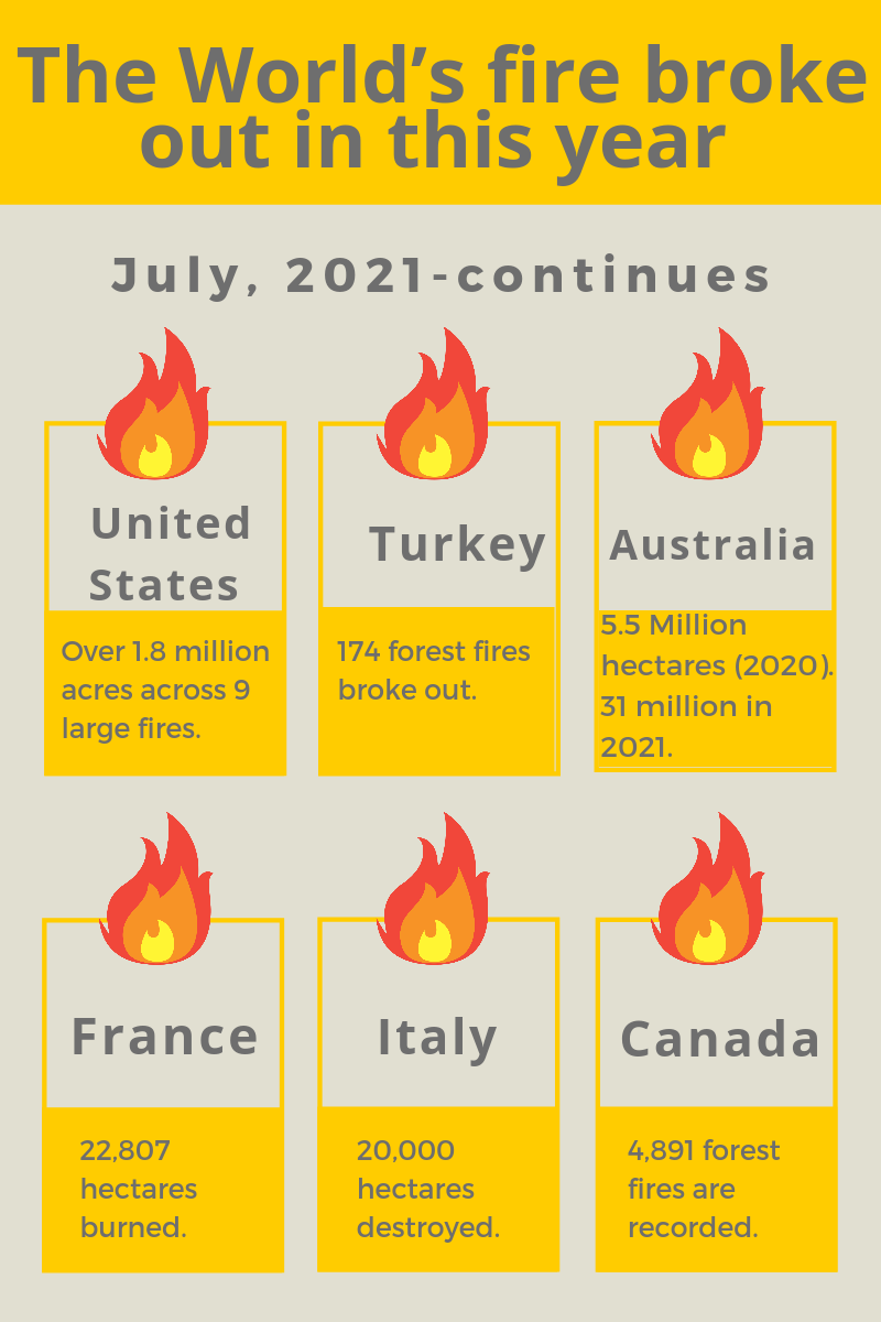 THE FUTURE according to WILDFIRE EXPERTS. | by Sehrish Shabbir | Sep ...