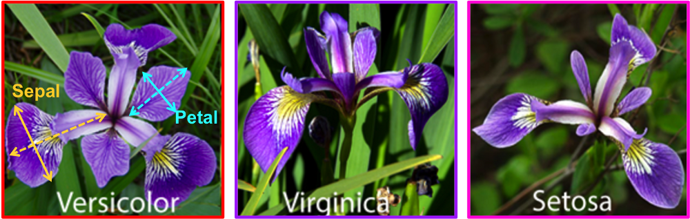 Compare Tensorflow Deep Learning Model with Classical Machine Learning models — KNN, Naive Bayes ...