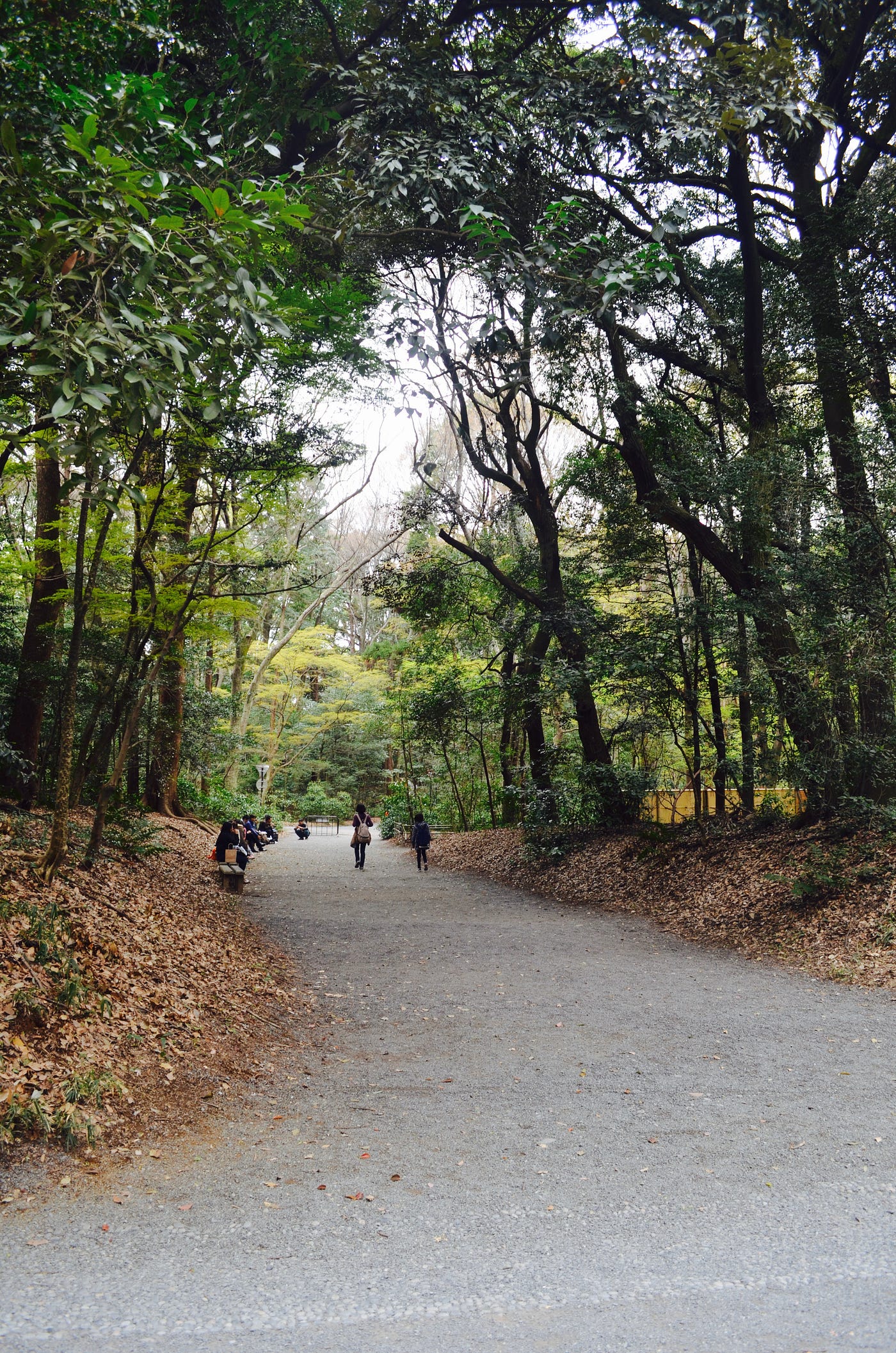 Walking around Tokyo! (Shibuya Area) | by Doreen Villanueva | Medium