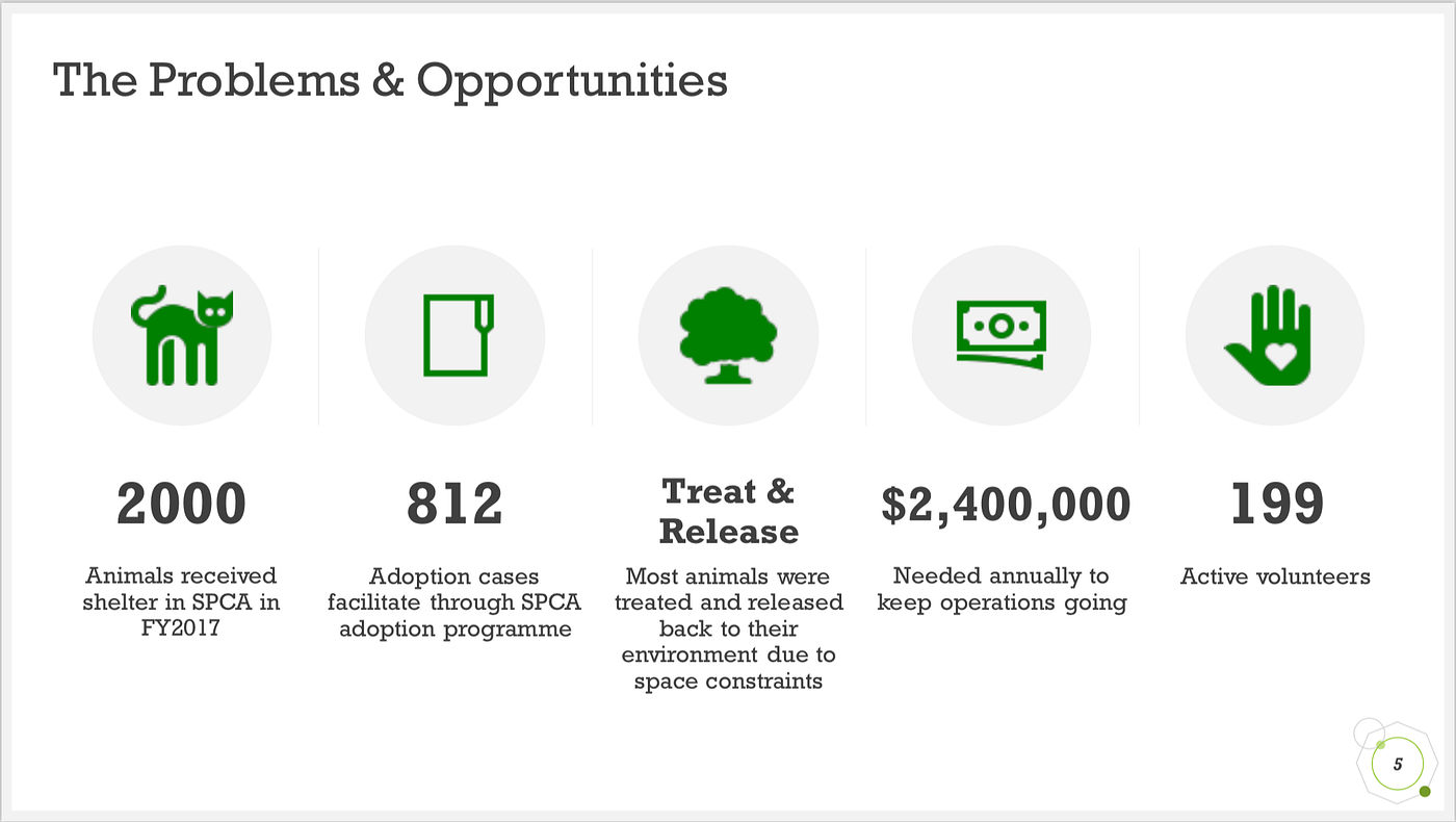 Uxdi Spca Website A Case Study By Keann K Ux Collective