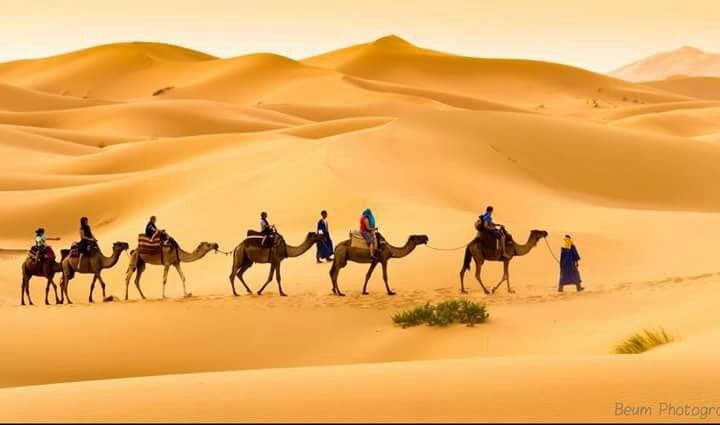 Morocco Camel Trekking. Overnight camel trek tour is a must do… | by ...