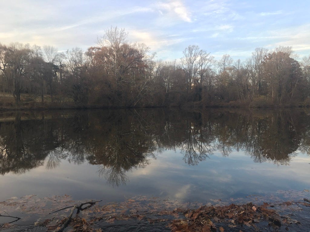 Seasons of Pond Life, Clio Jensen | by Sara Grossman | Medium