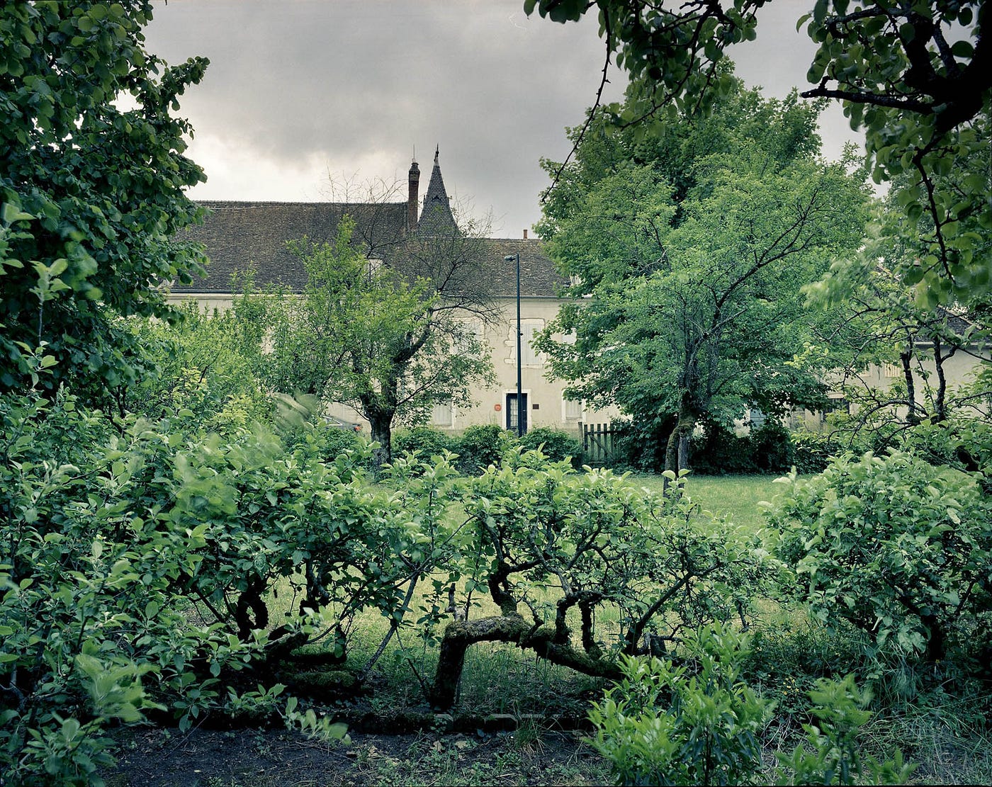 The Untold Story of the World’s First Photograph | by Airbnb Magazine ...
