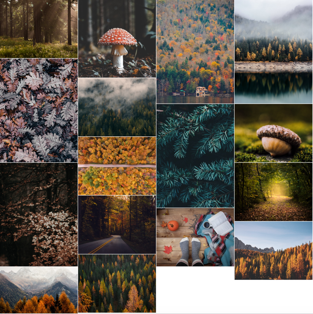 Create a Masonry Image Gallery Layout with React | by sandra gonzales ...