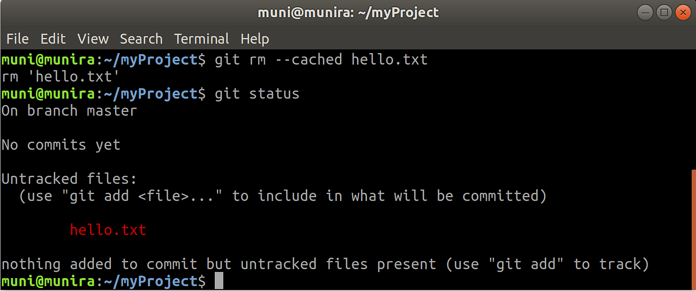 An Intro to Git and GitHub for Beginners Part I (Tutorial) | by Munira Omar | Medium