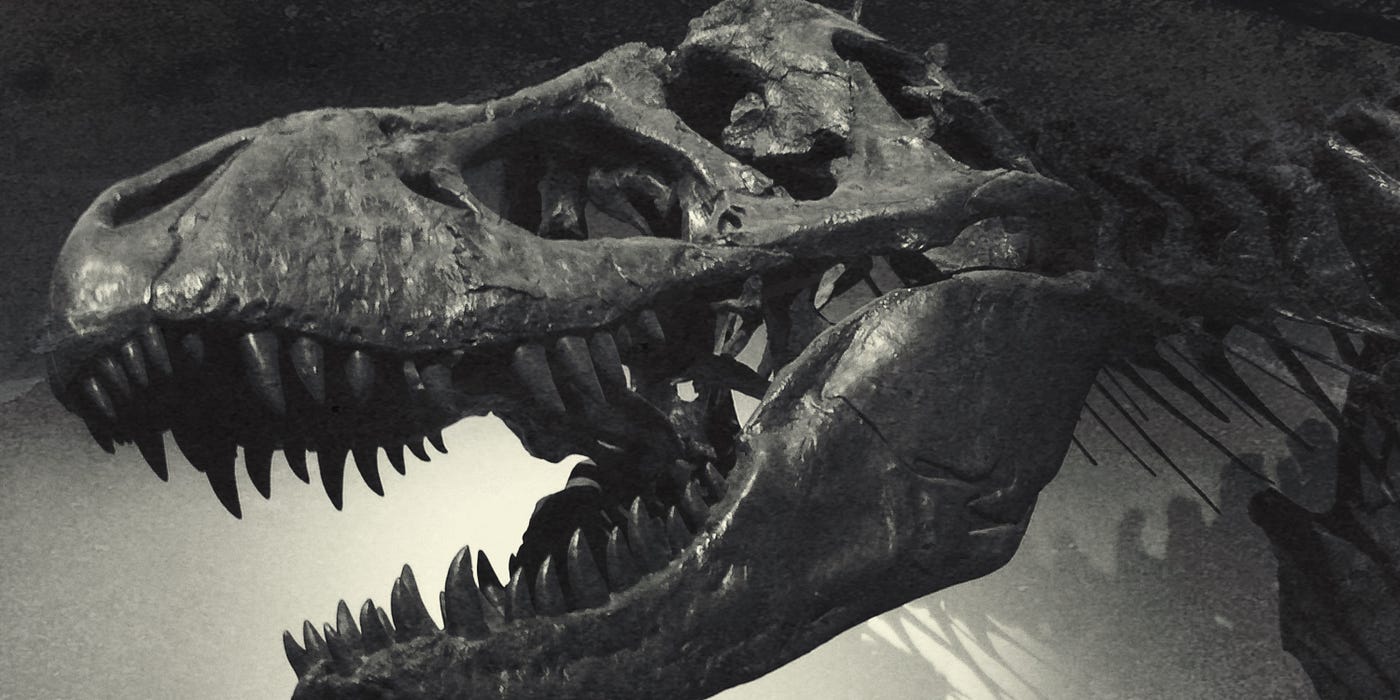 Gallus Gallus Domesticus: Dinosaurs in Disguise | by J.R. Spiers | Jan ...