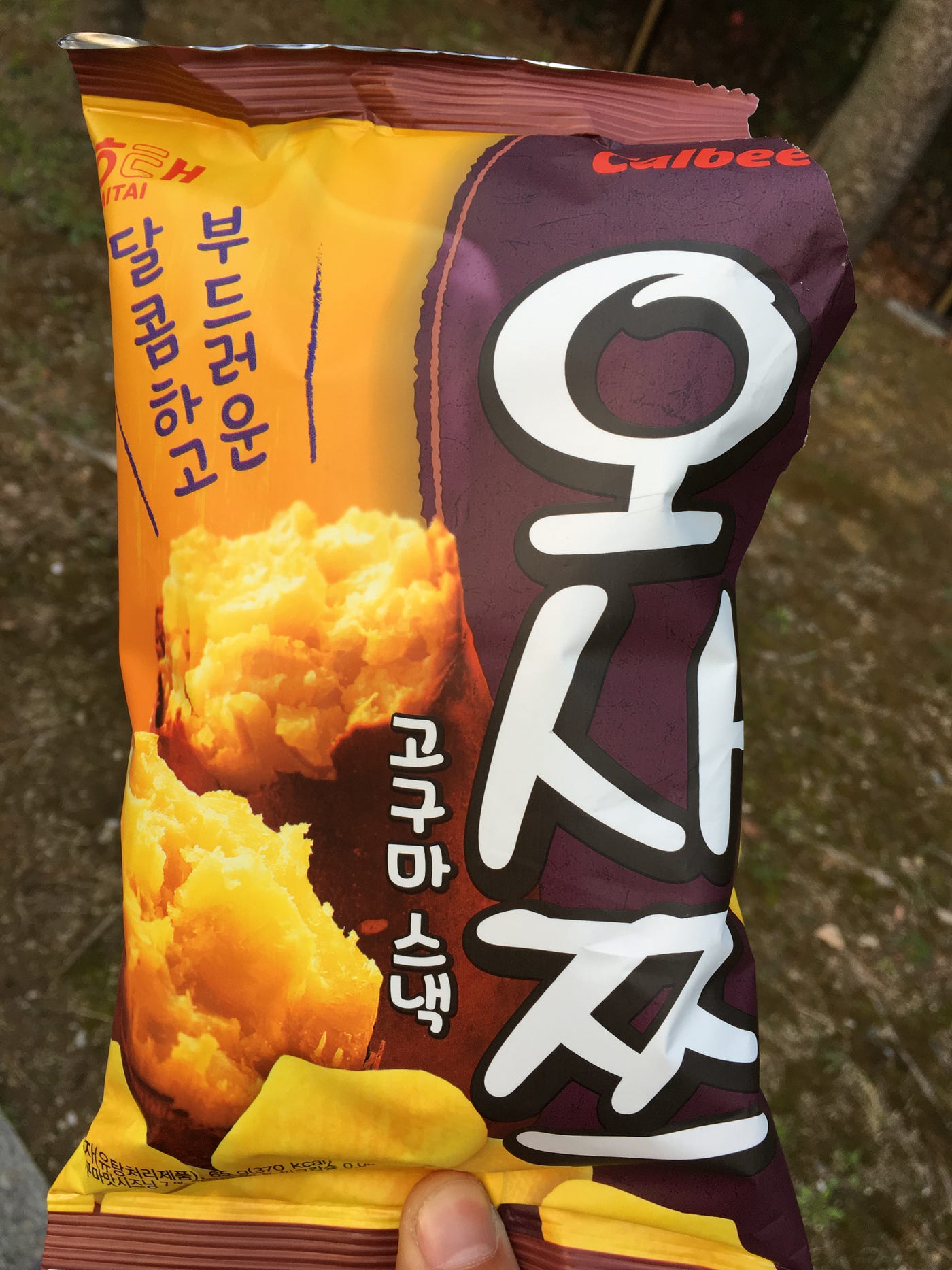 Korean Junk Food: A Field Guide. I have a confession: I love junk food ...