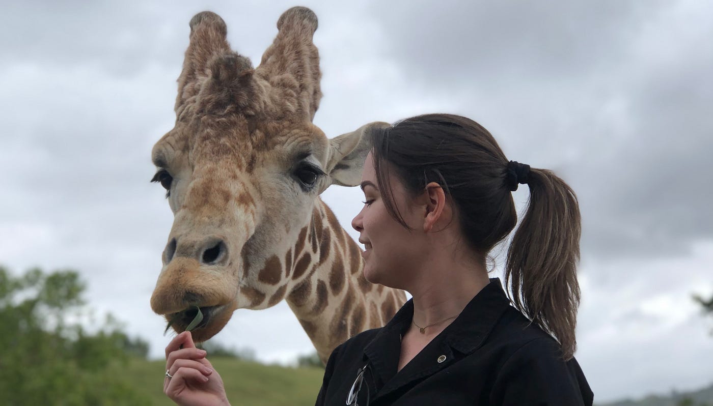 Little Good Things: 2019. 285 moments to remember | by Caitlin O'Malley ...
