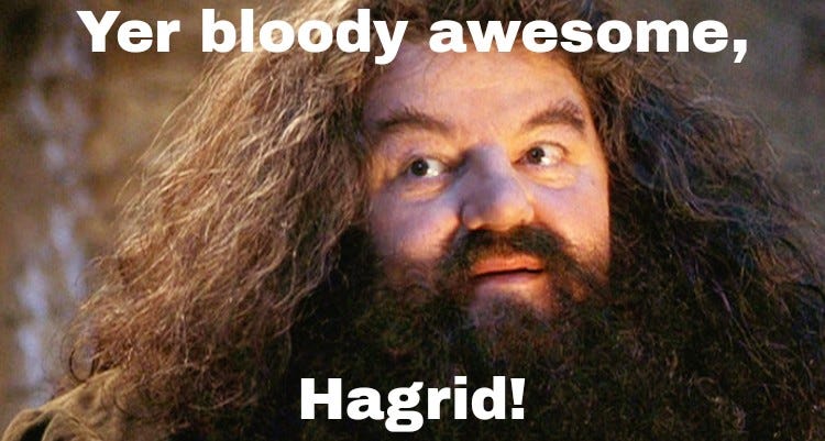 The 3 Reasons Why Hagrid is the Best | by Online Book Club with Mrs. H ...