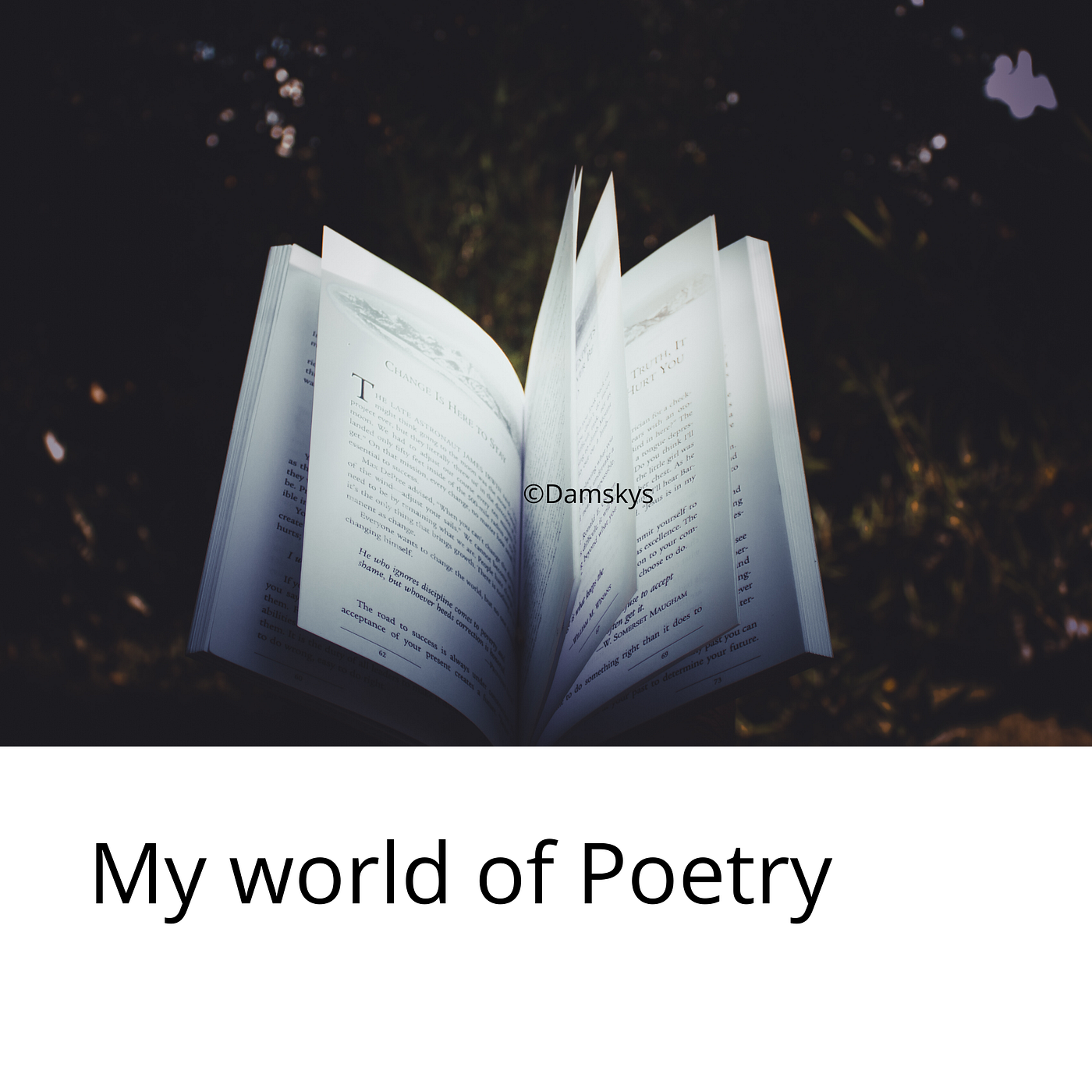 My world of Poetry. The world of Poetry is the world that… | by ...
