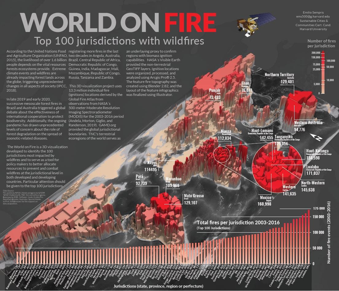 World on Fire. I want to thank the judges of the 2020… | by Emilio ...