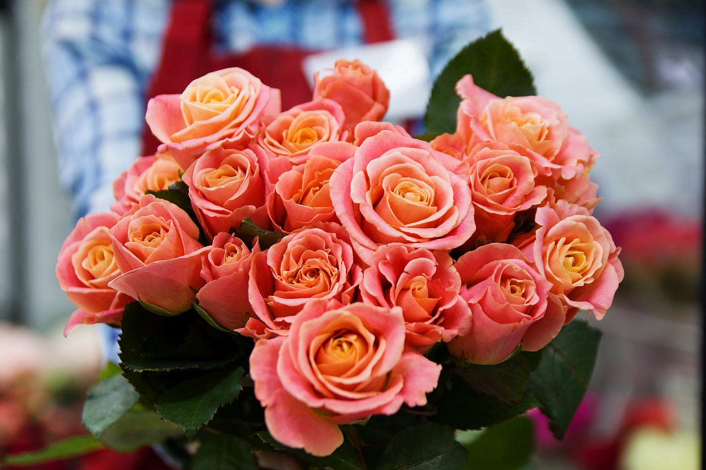 Ways to purchase best wholesale roses online | by James Mcavoy | Medium