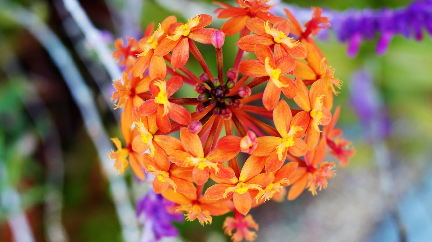 goodbye photos.. It started with decluttering and… | by june saruwatari ...