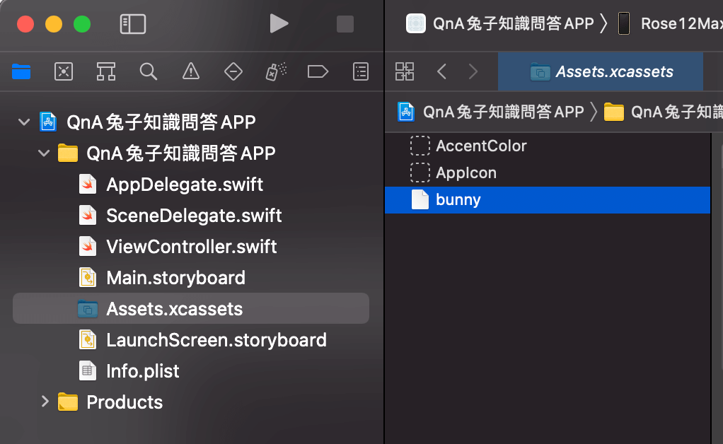 #42 QA問答 兔兔知識大考驗 App. 使用CSV資料庫、struct 製作問答題庫並播放答案語音。 | by Rose | 彼得潘的 Swift iOS App 開發教室 | Medium