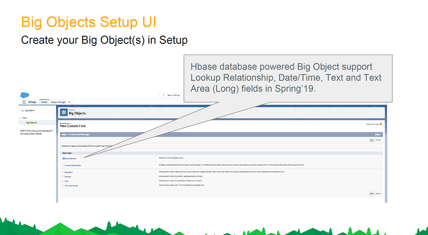 Summer’19 with Enhanced Setup UI for Big Objects | by Heidi Lemmetyinen ...