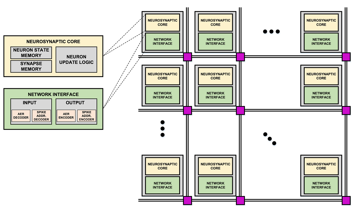 Introduction to the Algorithms and Hardware of Spiking Neural Networks | by Dickson Wu | Geek ...