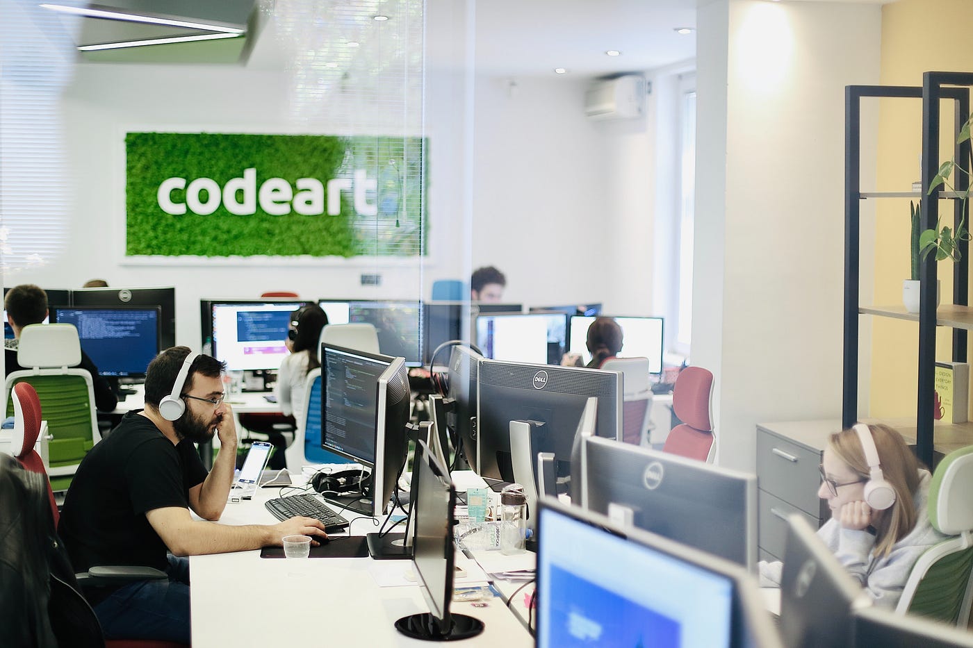 How the programming community changed in 1 year | by Edoardo de Cal ...