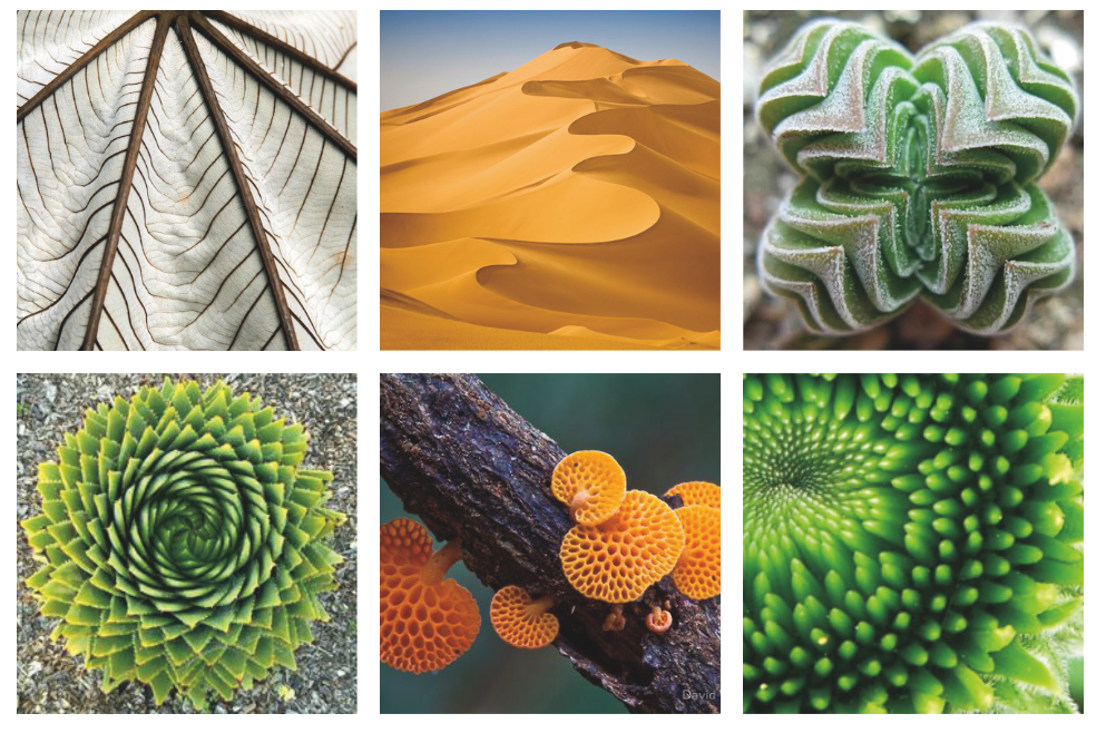 STRUCTURAL 3D PATTERNS. 3D print to drape and manipulate… | by Carolin ...