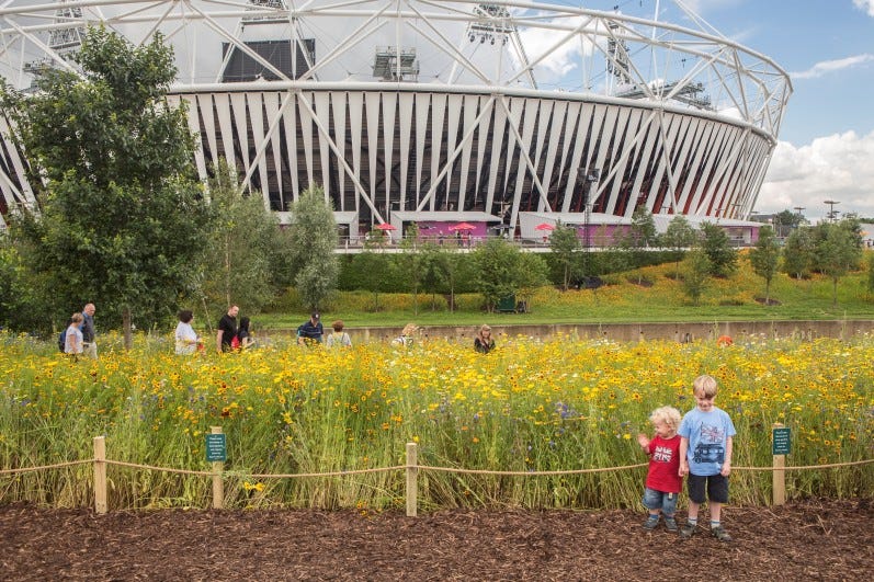 Green Roofs, Green Walls, Green Infrastructure: It’s Time to Ask Why ...
