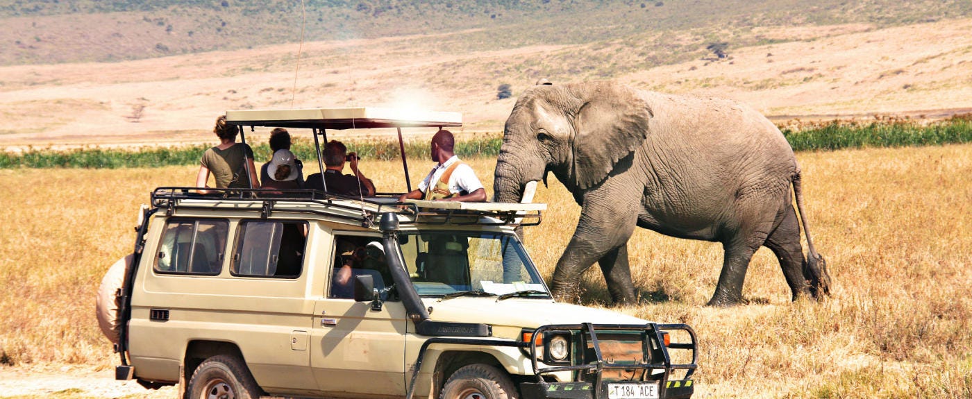 Wildlife Safari in Tanzania — Time to Experience Pure Wildlife Beauty ...