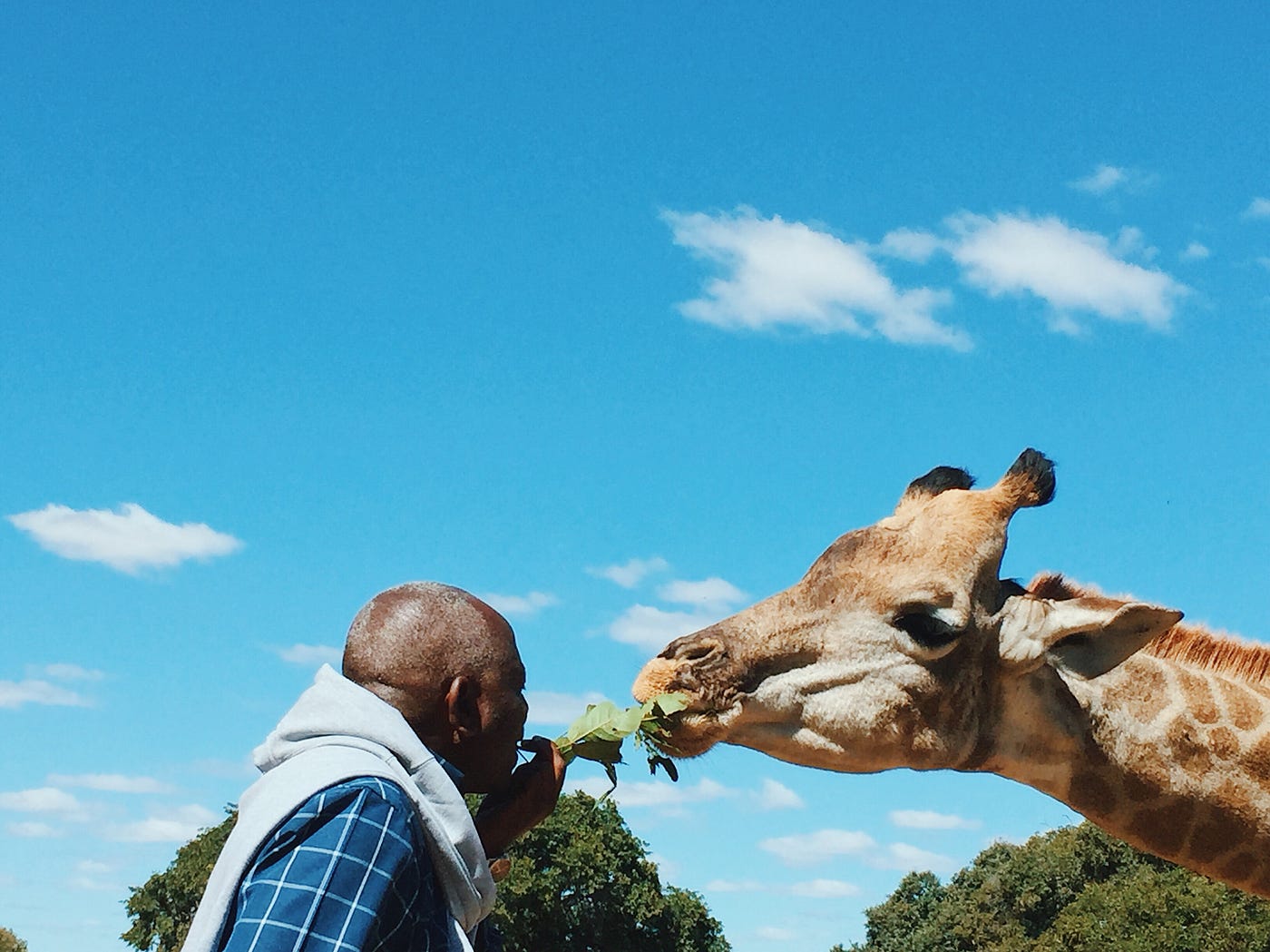 My FATHER… The gift that keeps on giving! | by Tapiwa Matsika | Medium
