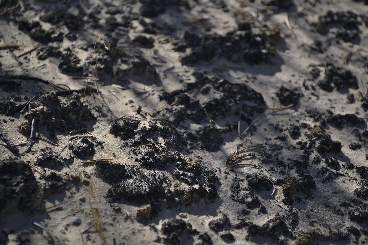 Scarring the Landscape (Pt. 1 of 2) | by Cody Harding | Medium