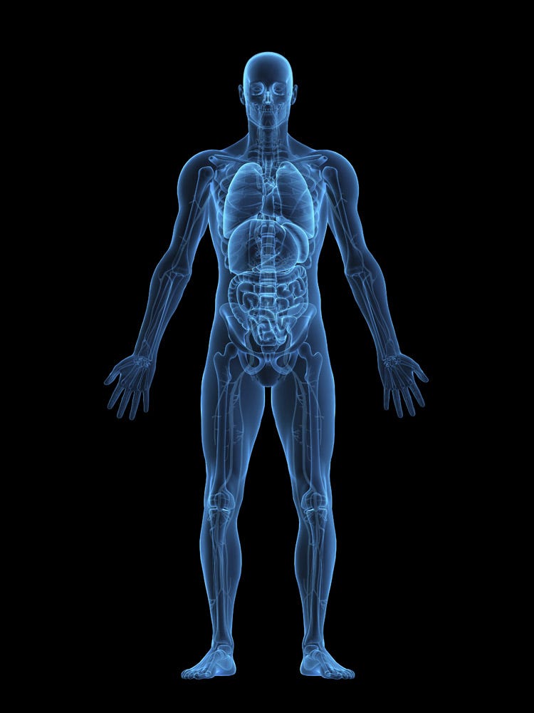 The Vitreous Human Being — Nothing to Hide and Nothing to Fear? | by ...