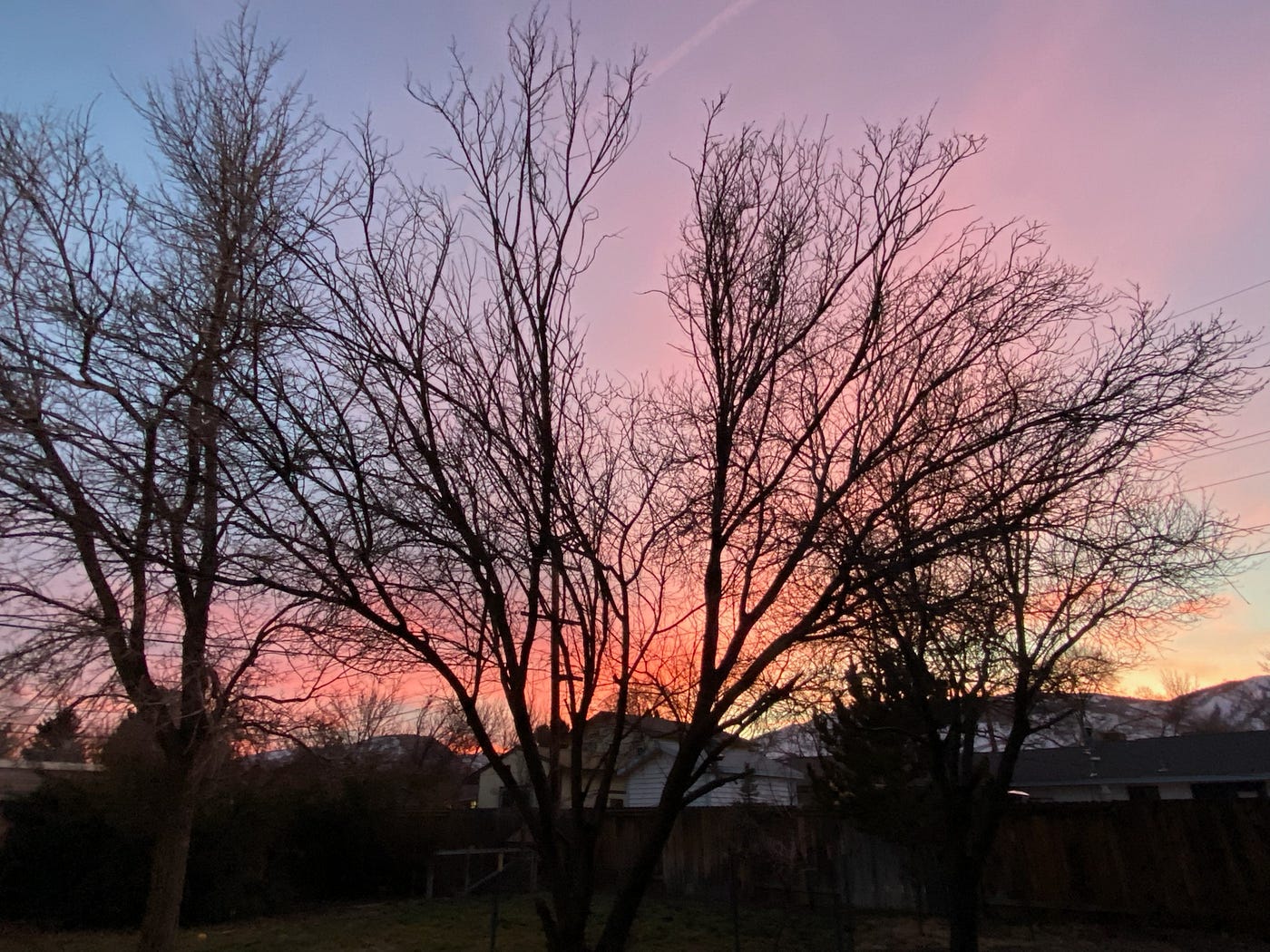 Beautiful Weather, a Day at Home, and Winter Scenery | by Kim Zuch ...