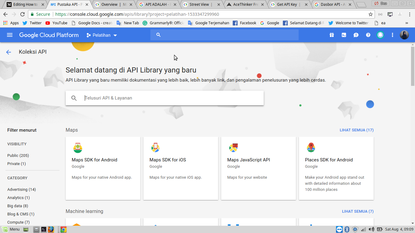 How to Get Your Google Maps API and Google Streetview API | by Enita ...
