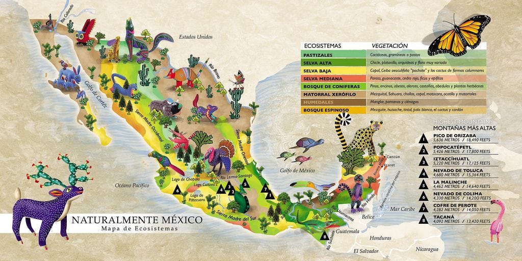 Mapas de México con elementos de naturaleza | by La Libélula México ...