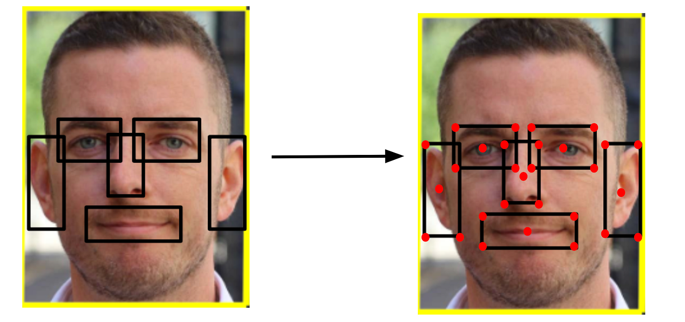 Facial Recognition. Something we all take for granted is… | by Timucin Erbas | Analytics Vidhya ...