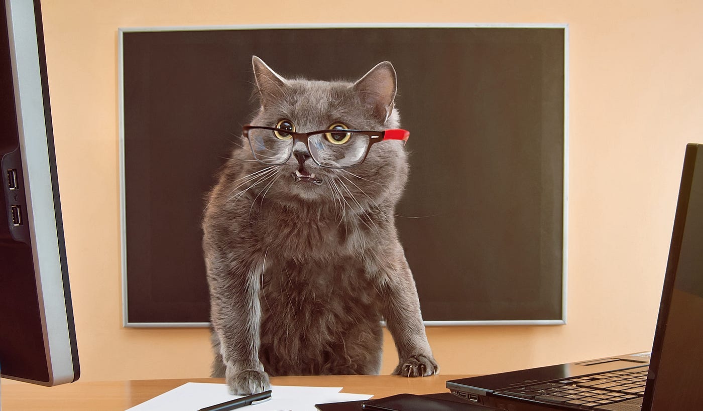 How to Design a Collaborative Experience (Instead of a Virtual Workshop ...