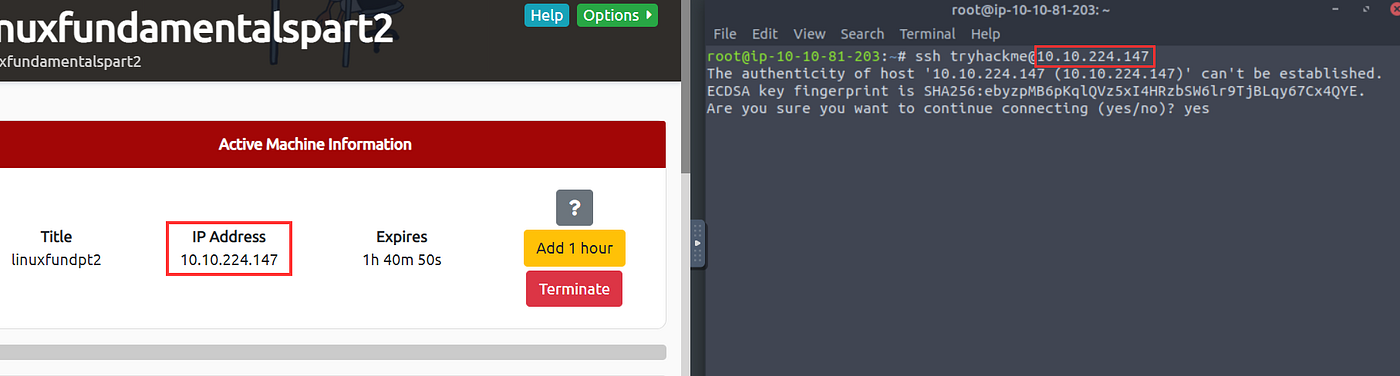 TryHackMe: Linux Fundamentals Part 2-Write Up | by Mac Leo | Medium