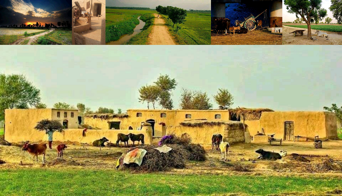 My Village-Life in Pakistan(Part: 2) | by Muhammad Nasrullah Khan ...