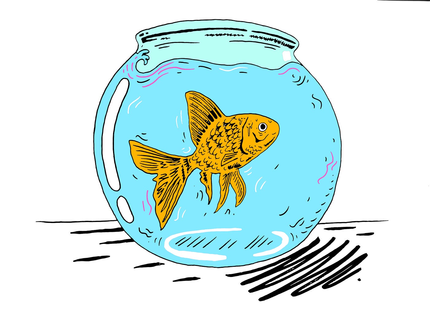 Learning in the Age of the Goldfish | by AP Simpson | Mission.org | Medium