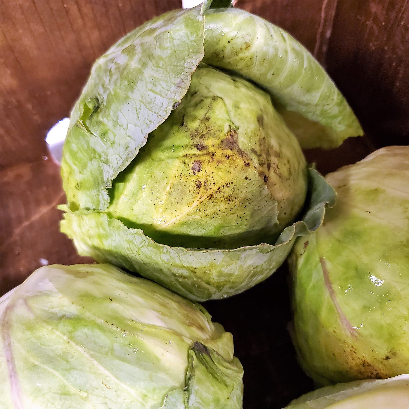The Not So Fresh Market. A deep look inside the produce… | by Cathy ...