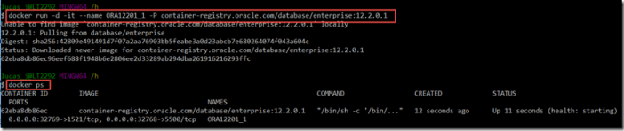 Run Oracle Database In Docker Using Prebaked Image From Oracle Container Registrya Two Minute Guide