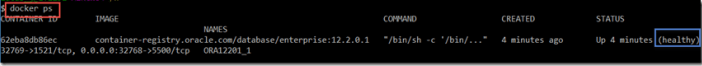 Run Oracle Database In Docker Using Prebaked Image From Oracle Container Registrya Two Minute Guide