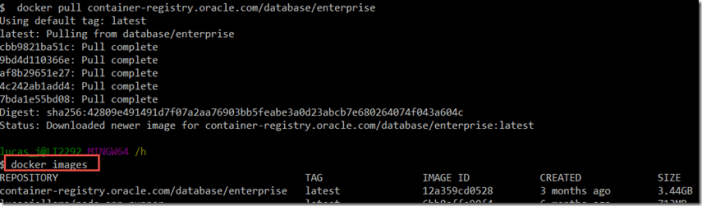 Run Oracle Database In Docker Using Prebaked Image From Oracle Container Registrya Two Minute Guide