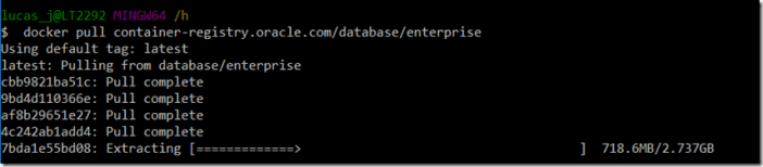 Run Oracle Database In Docker Using Prebaked Image From Oracle Container Registrya Two Minute Guide